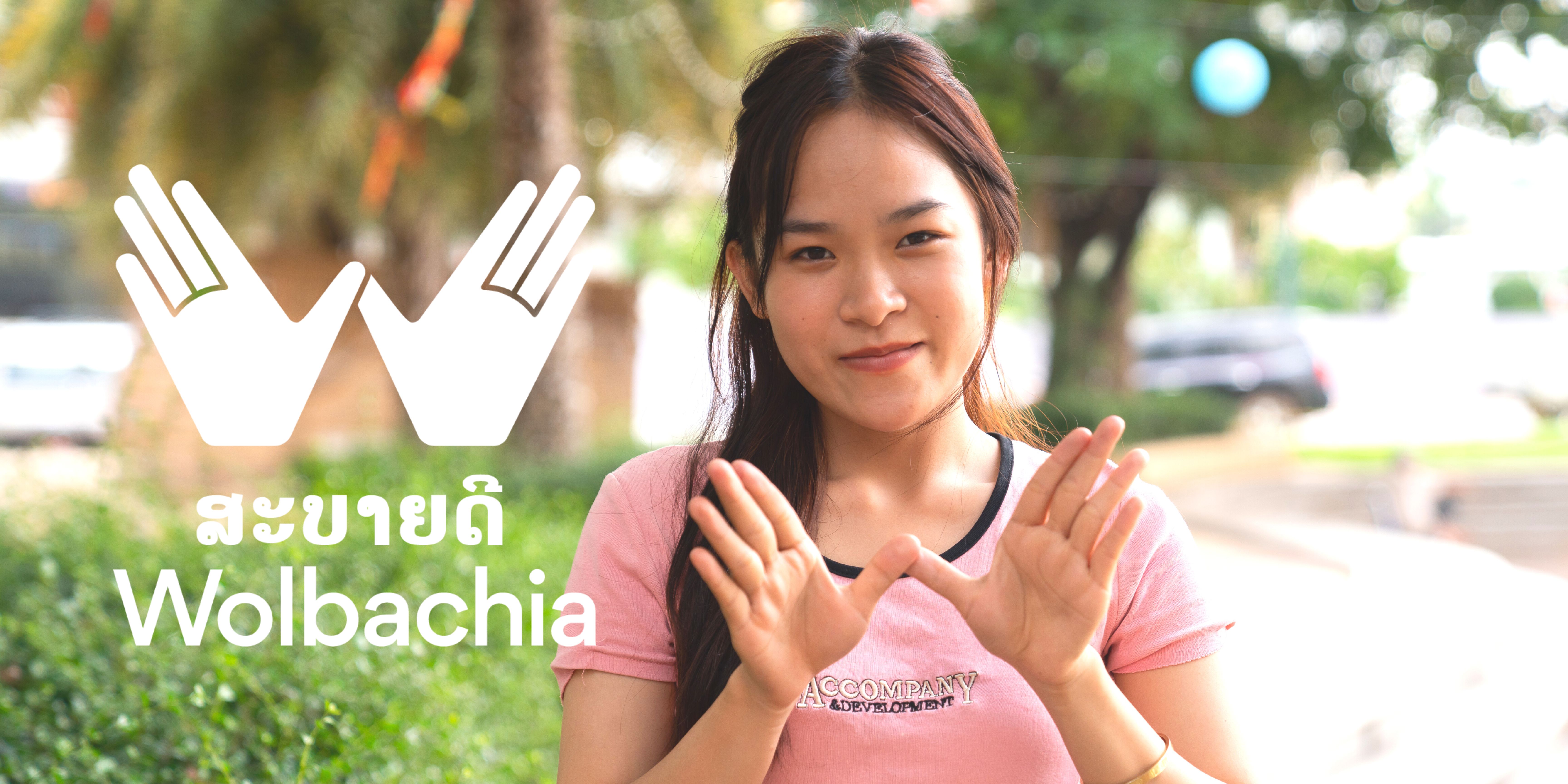 WMP in Laos | World Mosquito Program