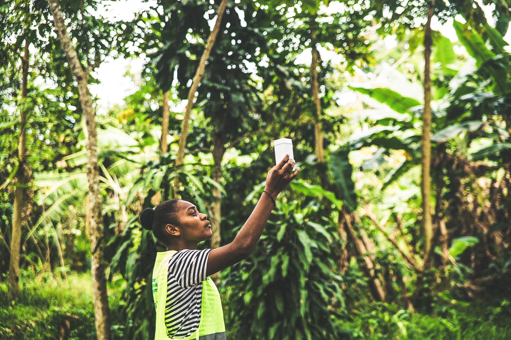 Images | World Mosquito Program