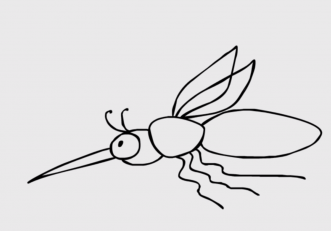 Home | World Mosquito Program - Releasing hope