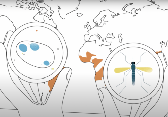 Home | World Mosquito Program - Releasing hope