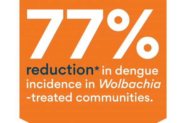 World Mosquito Program’s Wolbachia method dramatically reduces dengue ...