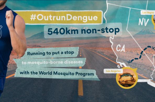 The Mosquito Milers | World Mosquito Program