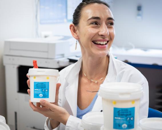 Sustainable projects | World Mosquito Program